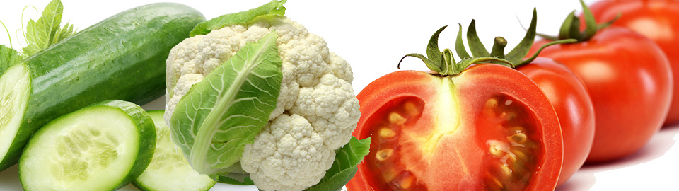 stations | Arafa Company grower, producer and exporter